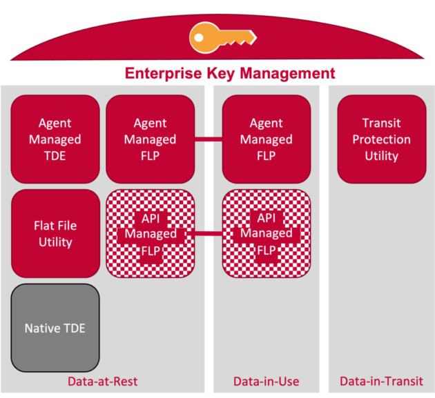 Randtronics Data Privacy Manager