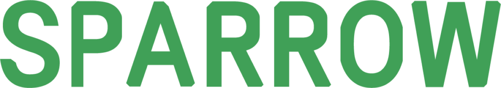 RAS Infotech | Cyber Security Solutions for Enterprises